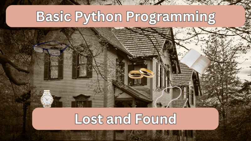 Basic Python Programming - Lost and Found - Lemons-Aid Learning
